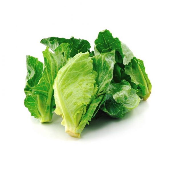 Brothers Produce of NJ – Fresh Produce & Grocery