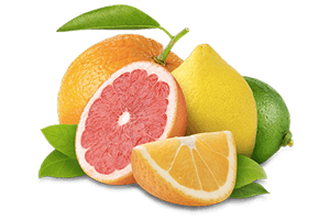 Brothers Produce of NJ – Fresh Produce & Grocery