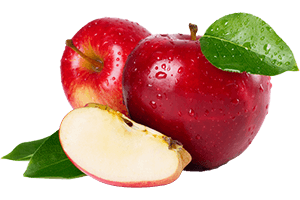 Brothers Produce of NJ – Fresh Produce & Grocery