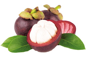 Brothers Produce of NJ – Fresh Produce & Grocery