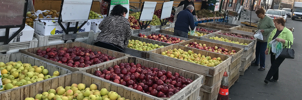 Brothers Produce of NJ – Fresh Produce & Grocery